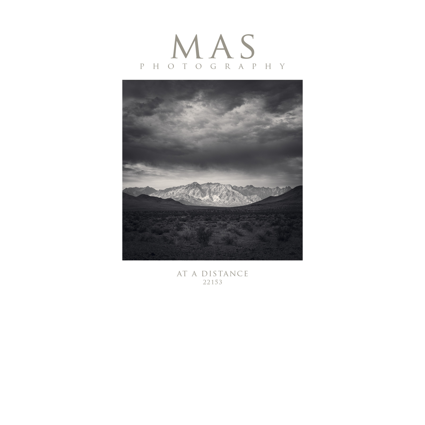 A Very Present Silence